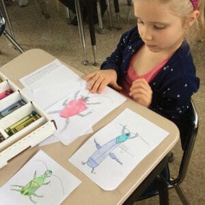 Writing, Math and Drawing Curriculum for Children | DCIR